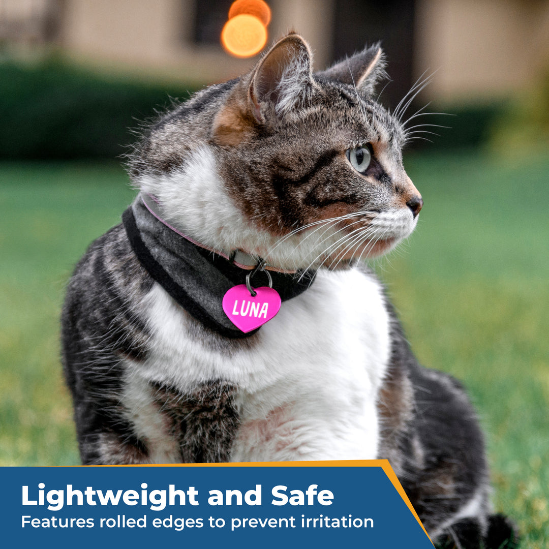 Round Pet ID Tags | Double Sided Engraving – GoTags