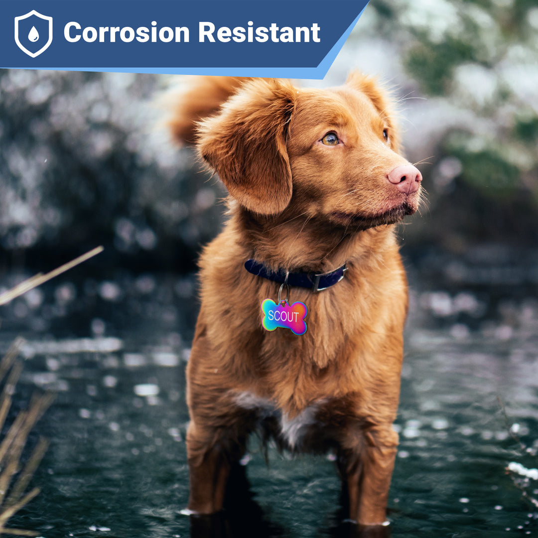 Pet Tags | Dog Tags & Cat Tags Engraved – GoTags