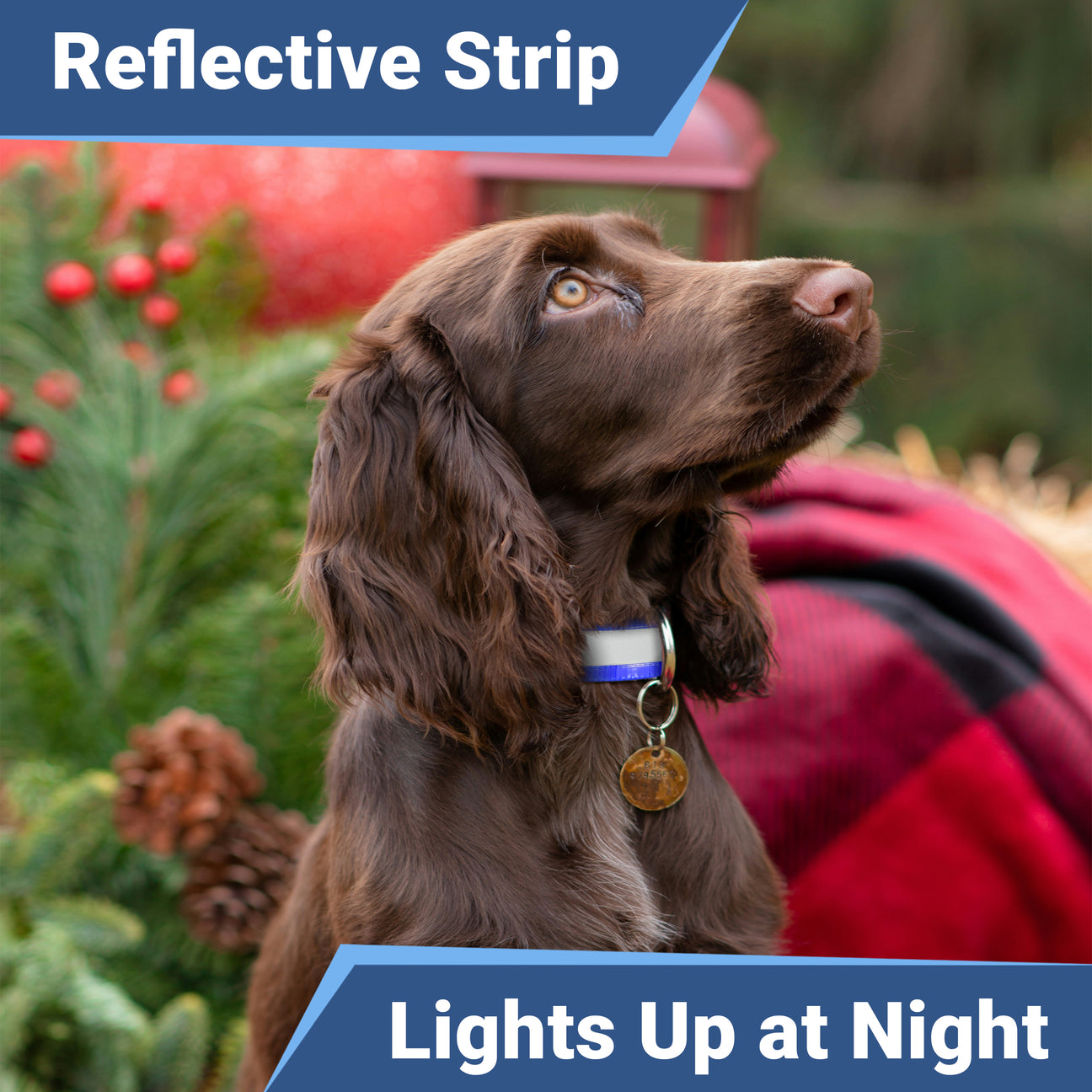 Personalized Waterproof Dog Collars | Reflective – GoTags