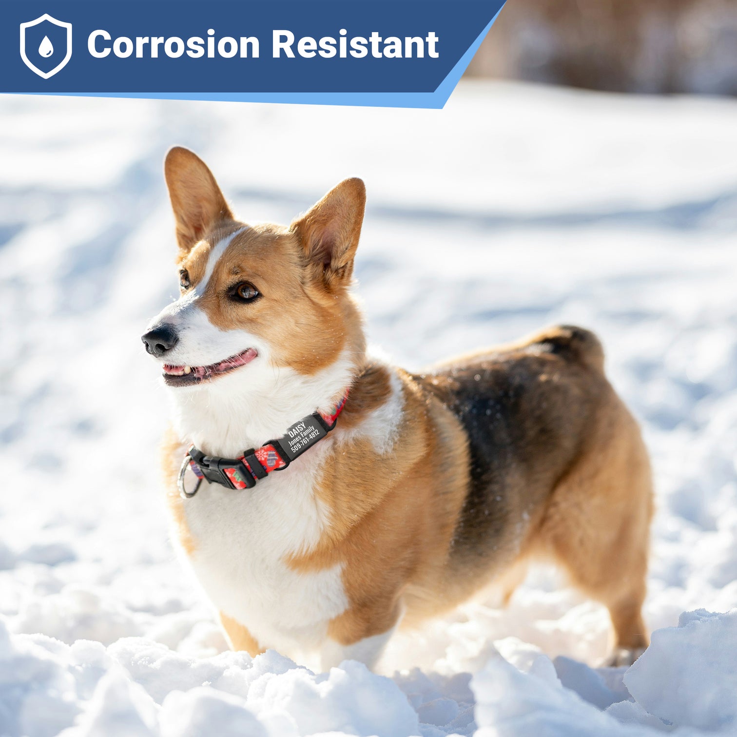 Silent Slide On Dog Tag Personalized – GoTags