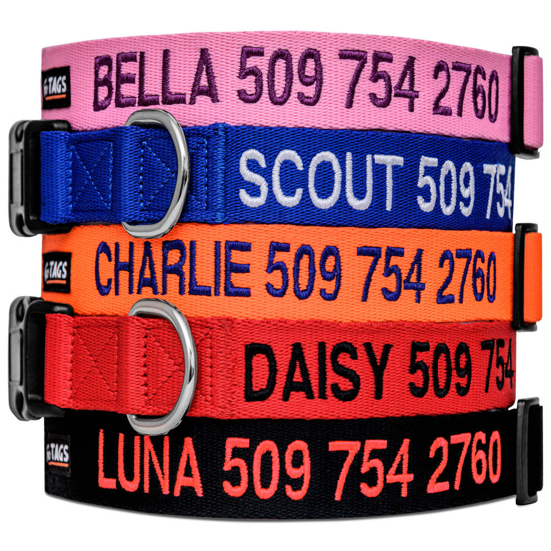 Personalized Embroidered Dog Collars | Adjustable – GoTags