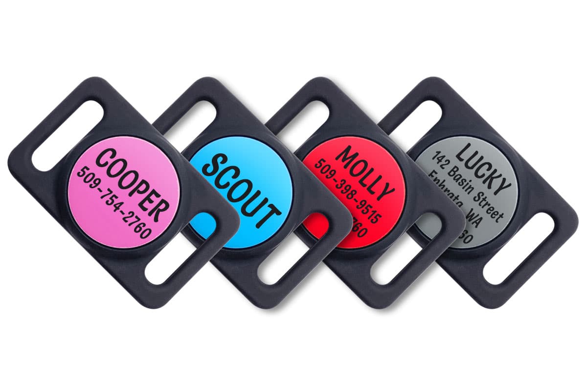 Airtag Dog Collar Holder, Personalized – GoTags