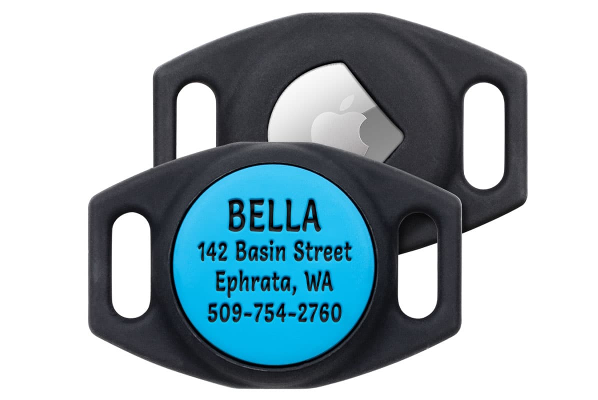 Airtag Dog Collar Holder, Personalized – GoTags