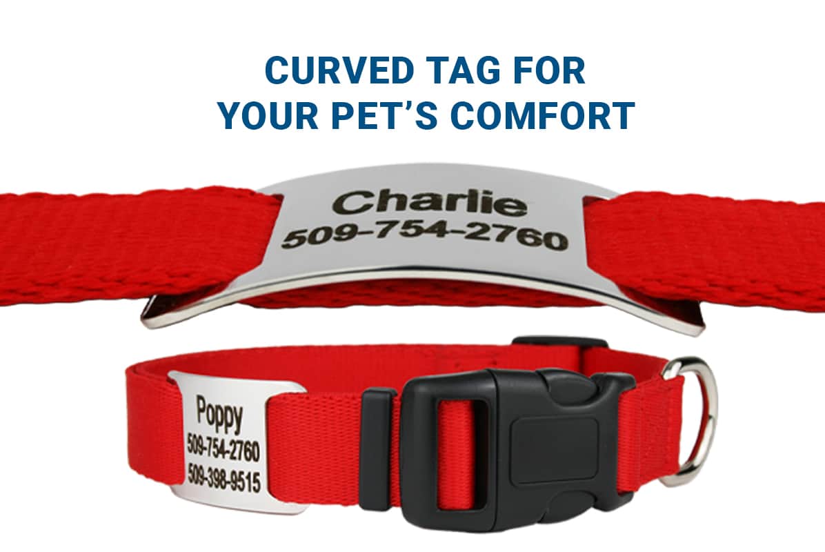 Dog Collar with Tag | Personalized – GoTags