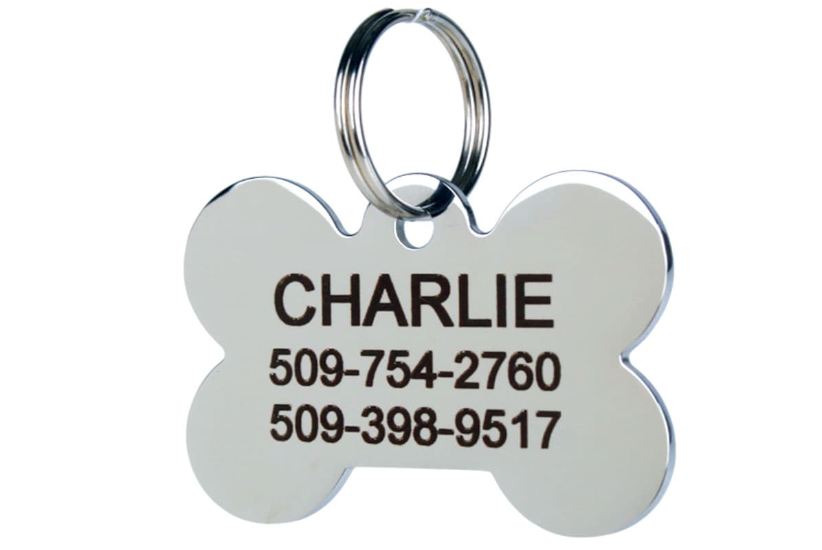 Stainless Steel Dog Tags for Dogs | Personalized Engraved – GoTags