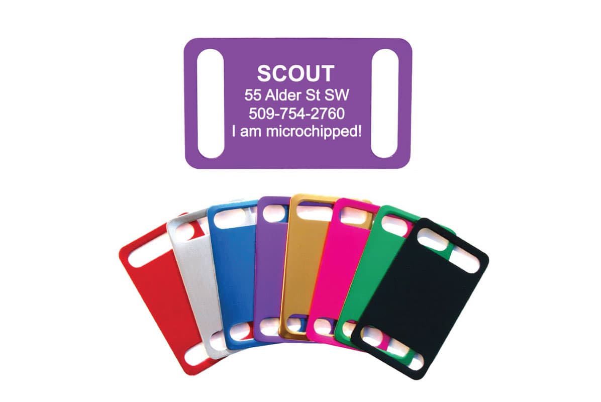 Silent Pet Tags | Quiet Dog Tags – GoTags