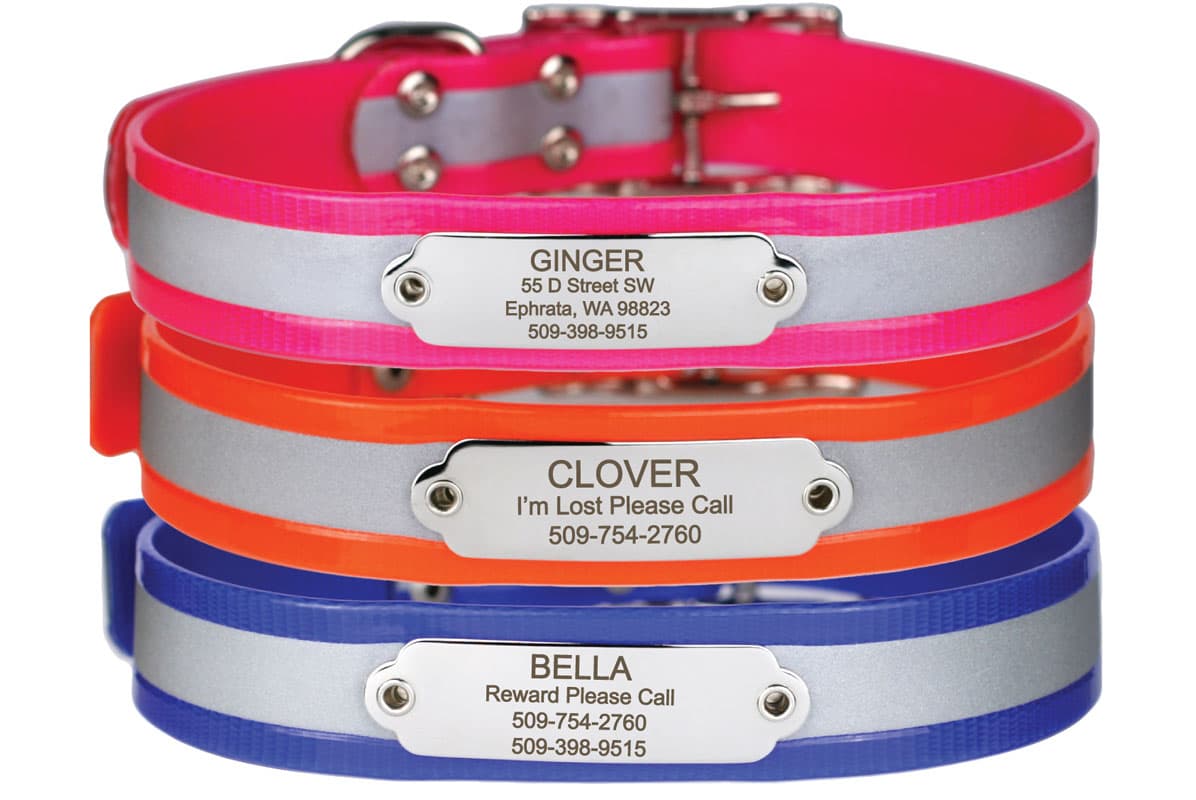 Reflective Dog Collars | Highly Visible – GoTags