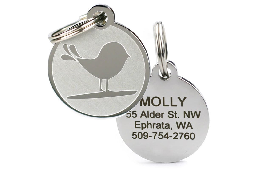 Pet Tag with Bird | Stainless Steel – GoTags