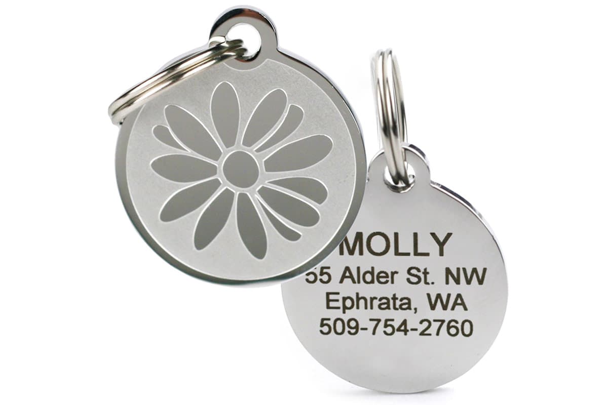 Daisy Flower Pet Tag in Stainless Steel | Engraved – GoTags