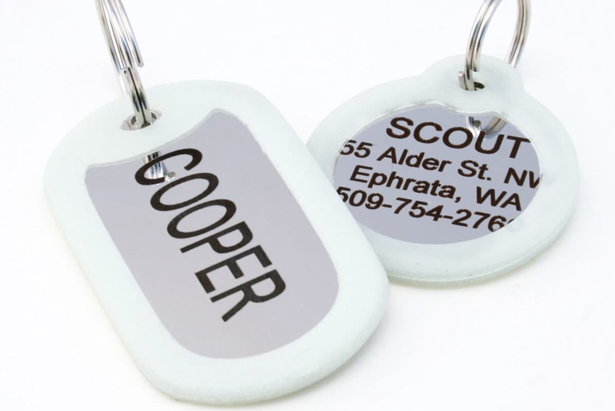 Stainless Steel Pet Tags with Dog Tag Silencer – GoTags