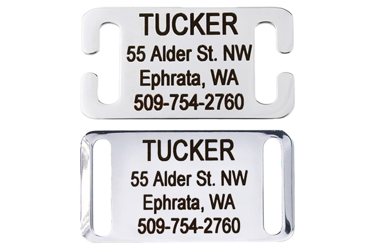 Slide-On Dog Tags | Stainless Steel | Quiet Tags – GoTags
